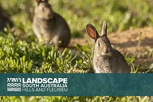 Regional Development Australia Adelaide Hills, Fleurieu and Kangaroo Island